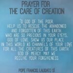 prayer for creation – Diocese of Orlando, Florida
