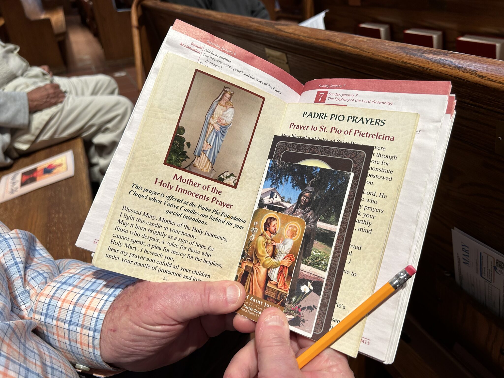 Central Floridians celebrate life – Diocese of Orlando, Florida