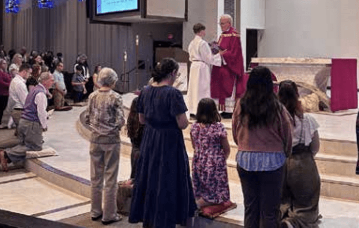 Scrutiny – Diocese of Orlando, Florida